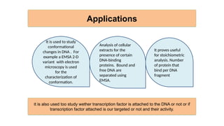 EMSA(Electrophoretic mobility shift assay.ppt