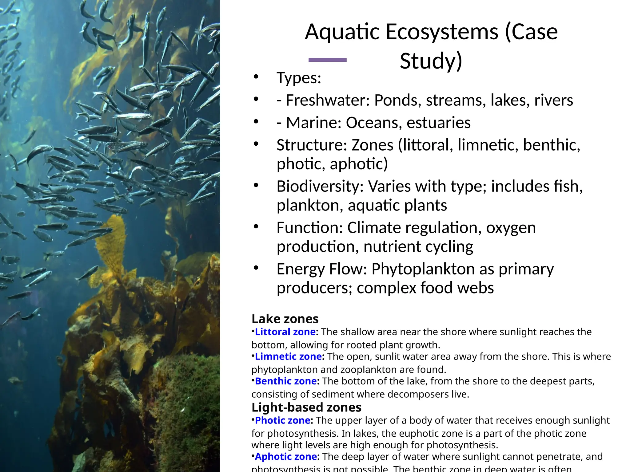 Ecosystems, Biodiversity and Conservation | PPTX