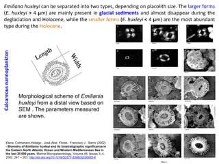The importance of electron microscopy in Micropaleontology | PPT