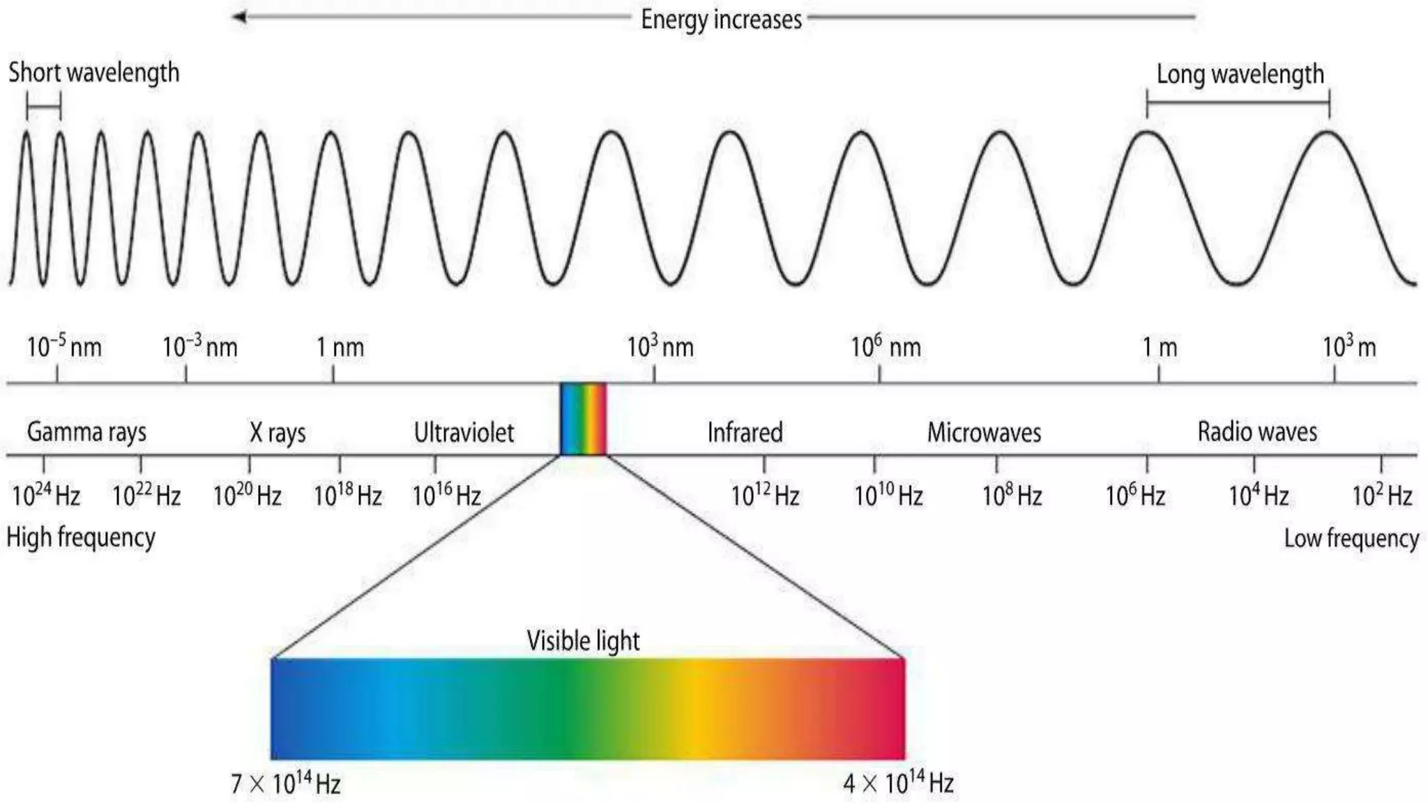 Em spectrum | PPTX