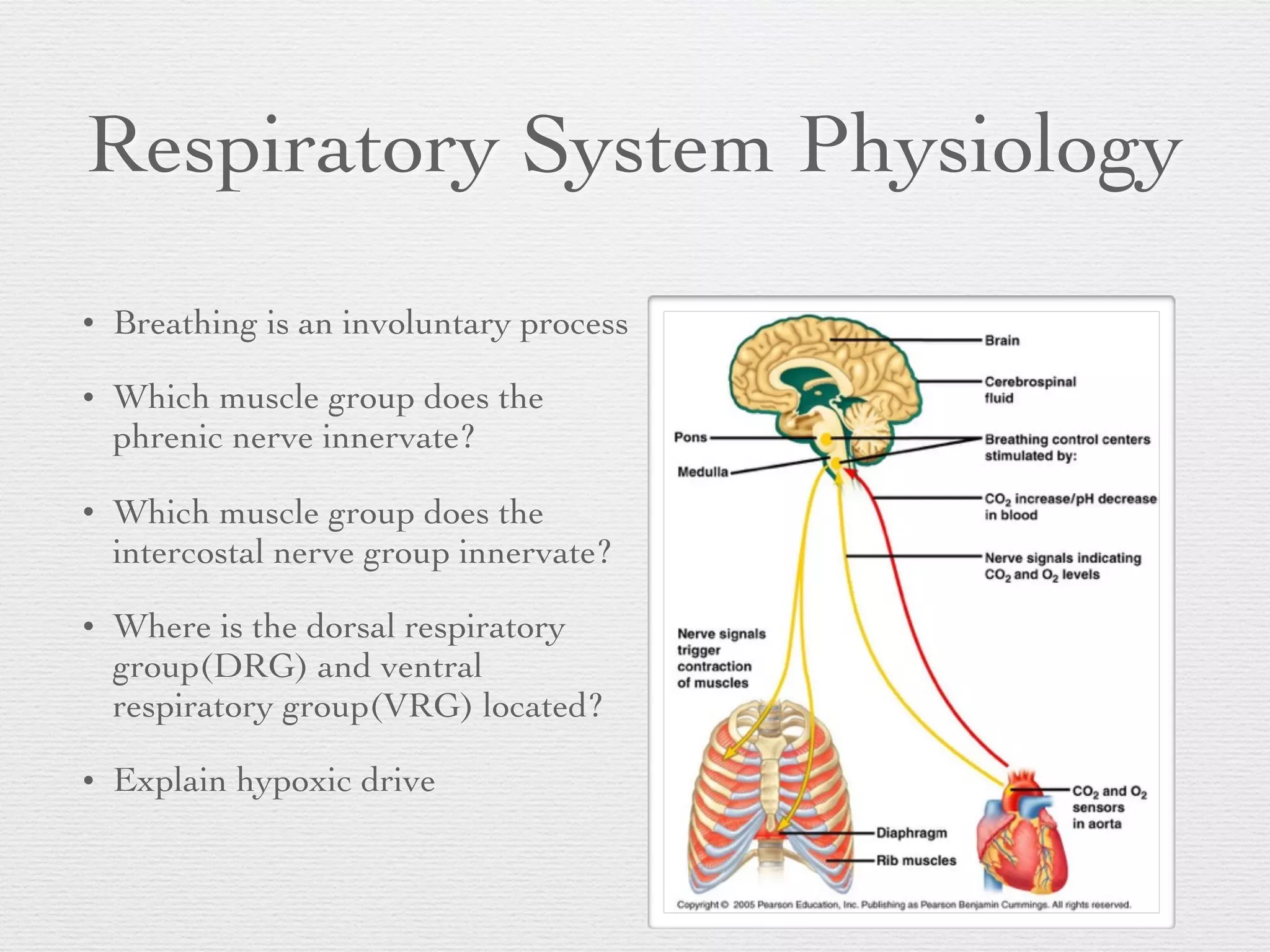 EMS Respiratory Emergencies.pdf