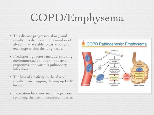 EMS Respiratory Emergencies.pdf