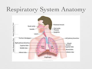 EMS Respiratory Emergencies.pdf