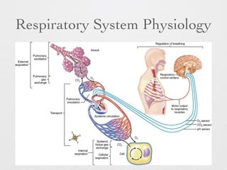 EMS Respiratory Emergencies.pdf