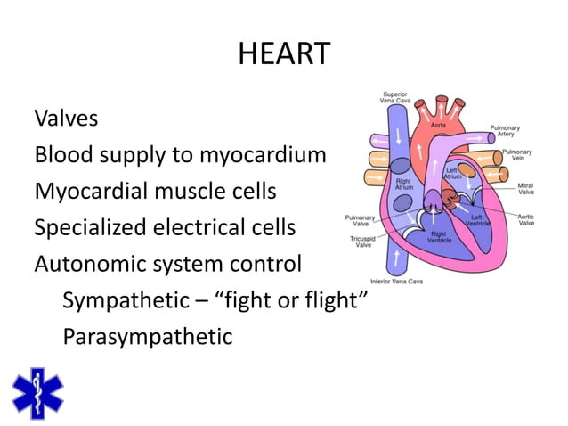 PREVIEW OF EMT/EMR CARDIOVASCULAR EMERGENCIES LESsON | PPTX