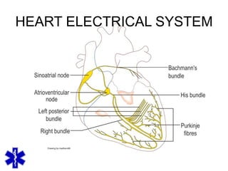 PREVIEW OF EMT/EMR CARDIOVASCULAR EMERGENCIES LESsON | PPTX