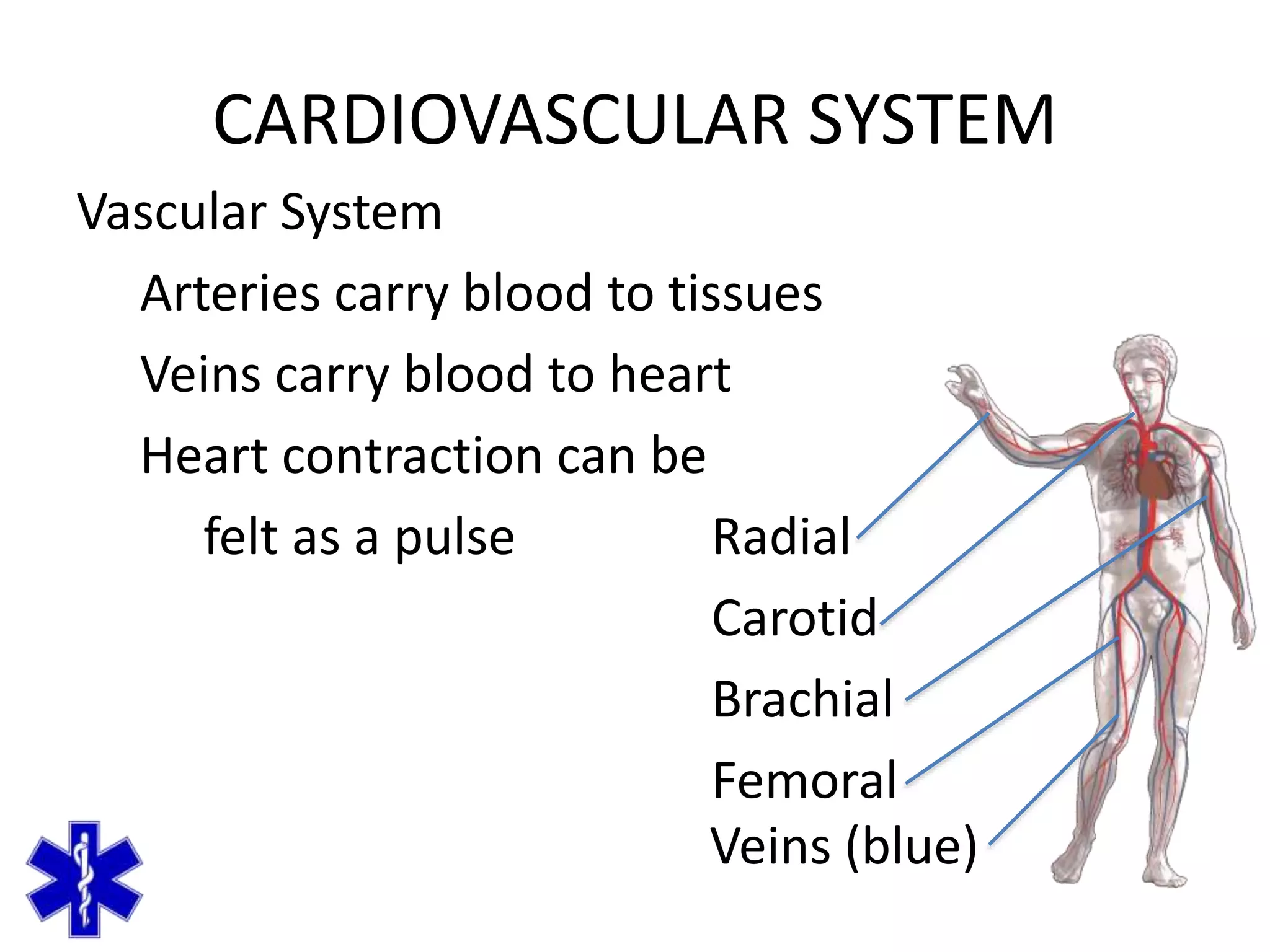 PREVIEW OF EMT/EMT SHOCK & RESUSCITATION POWERPOINT TRAINING ...