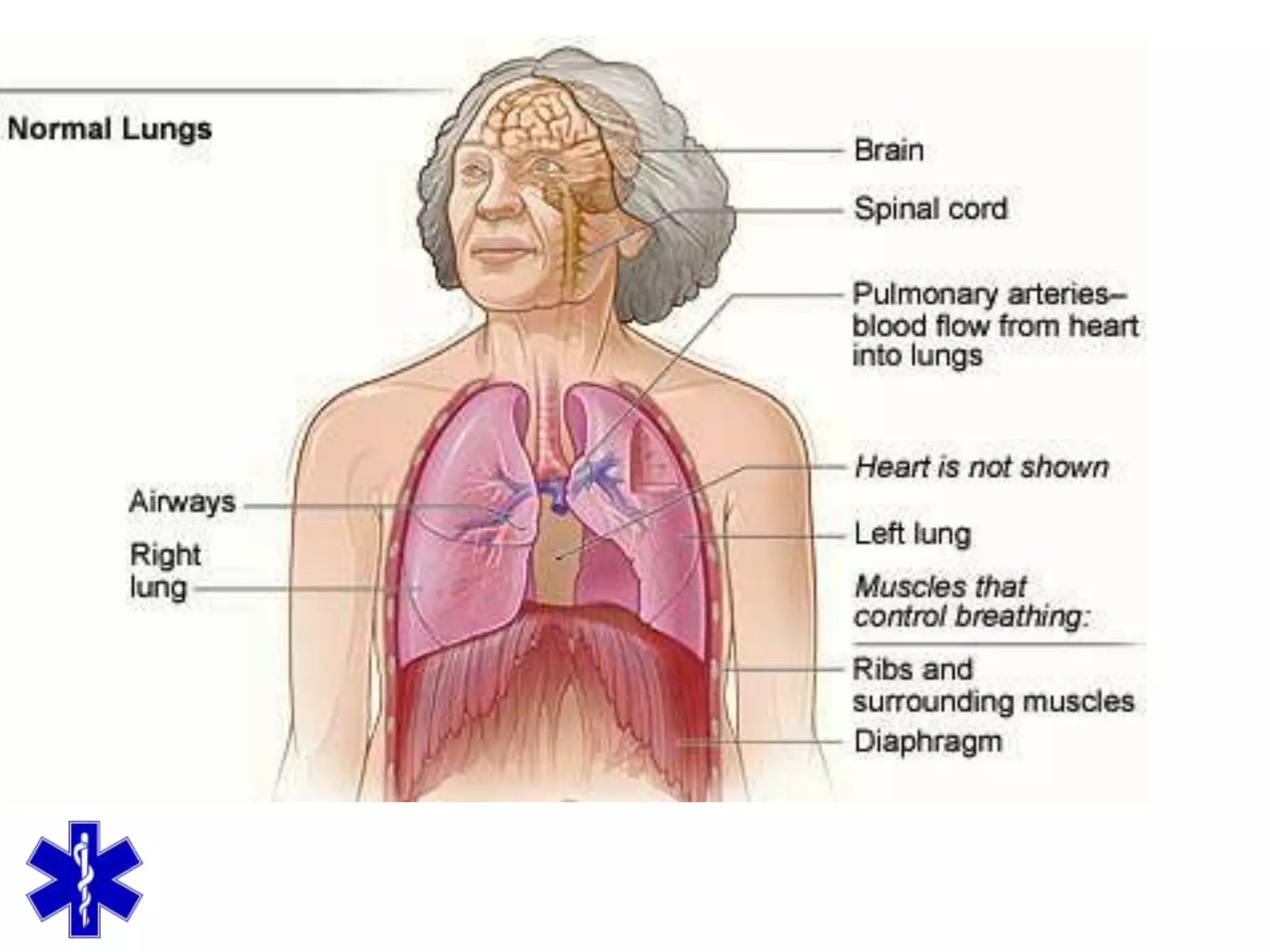 PREVIEW OF EMT/EMT SHOCK & RESUSCITATION POWERPOINT TRAINING ...