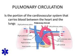PREVIEW OF EMT/EMT SHOCK & RESUSCITATION POWERPOINT TRAINING ...