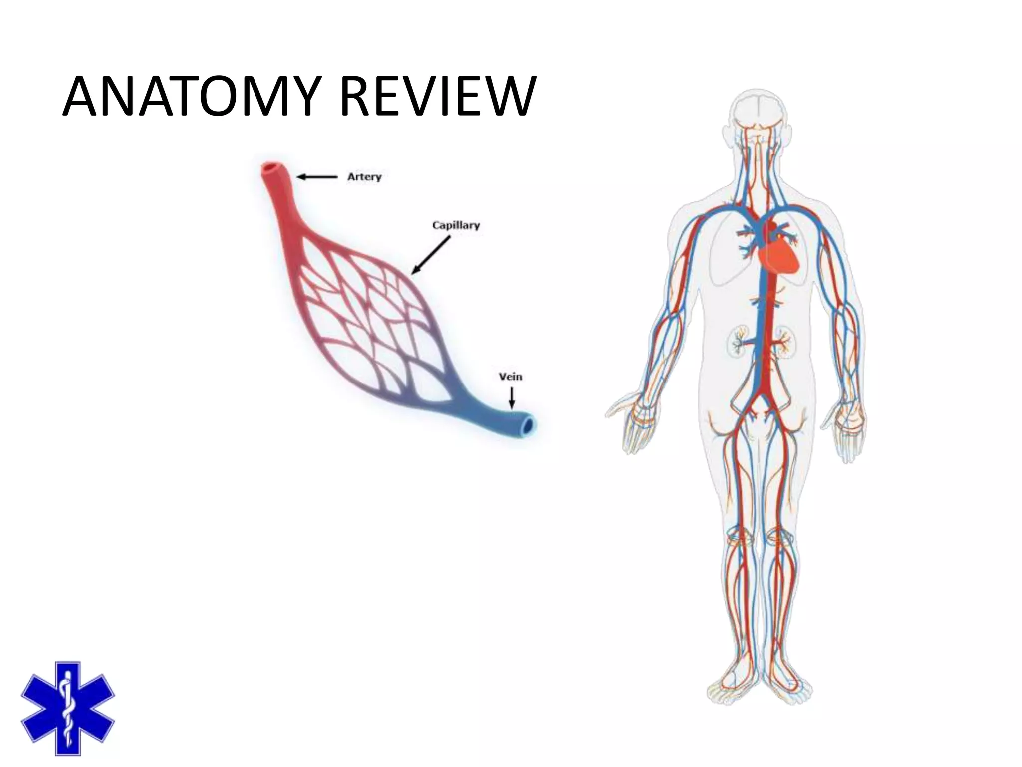 PREVIEW OF EMT/EMR BLEEDING POWERPOINT TRAINING PRESENTATION | PPTX