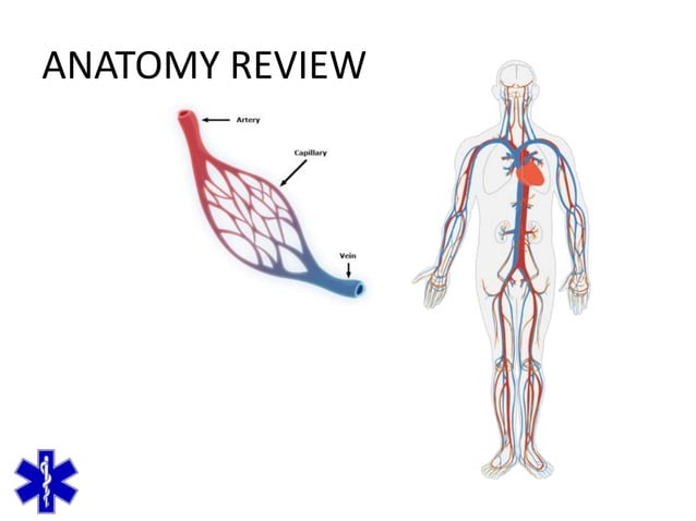 PREVIEW OF EMT/EMR BLEEDING POWERPOINT TRAINING PRESENTATION | PPT ...