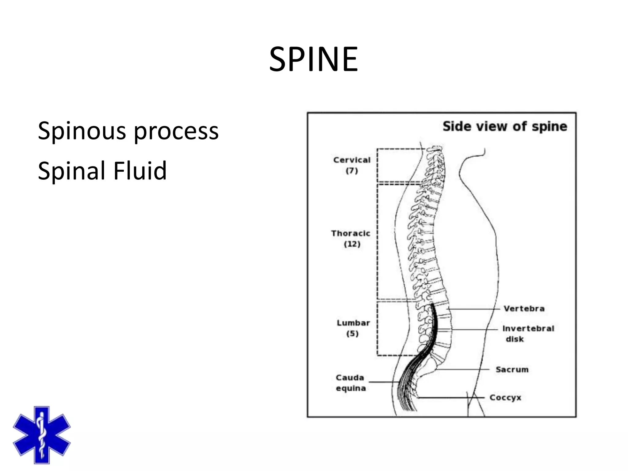 PREVIEW OF EMT/EMT NERVOUS SYSTEM TRAUMA POWERPOINT TRAINING ...