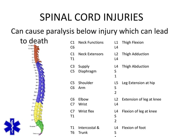 PREVIEW OF EMT/EMT NERVOUS SYSTEM TRAUMA POWERPOINT TRAINING ...