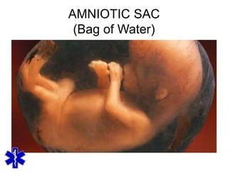 PREVIEW OF EMT/EMR OBSTETRICS POWERPOINT TRAINING PRESENTATION | PPTX