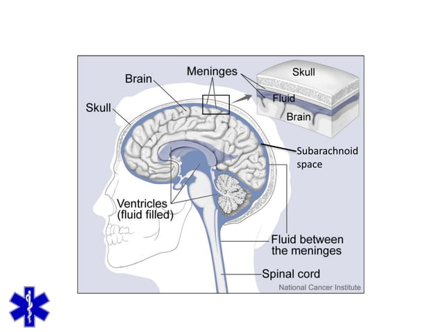 PREVIEW OF EMT/EMR PEDIATRIC EMERGENCIES POWERPOINT TRAINING ...