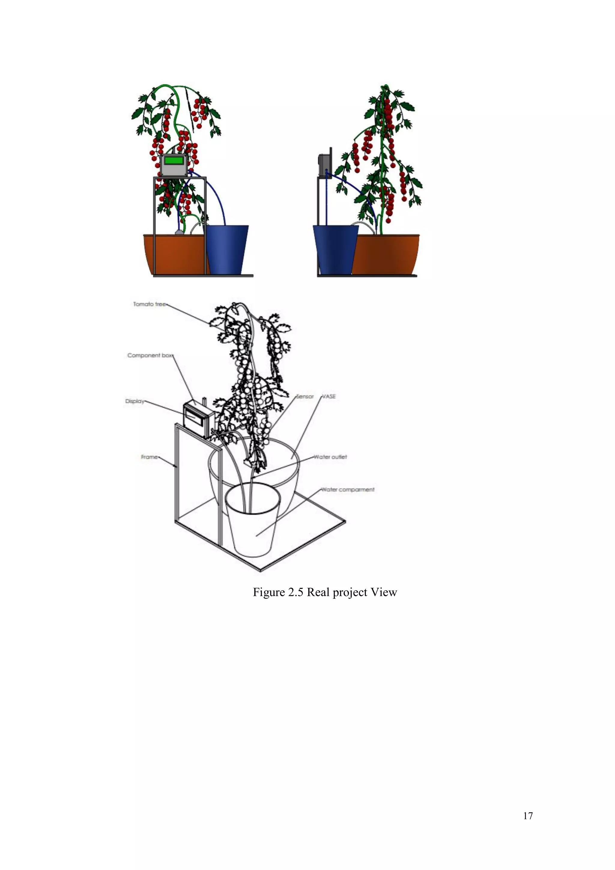 FINAL PROJECT REPORT IOT BASED AUTOMATED IRRIGATION SYSTEM | PDF