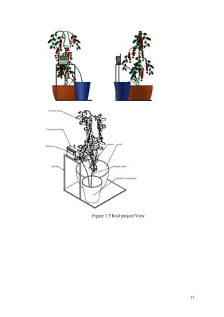 FINAL PROJECT REPORT IOT BASED AUTOMATED IRRIGATION SYSTEM | PDF