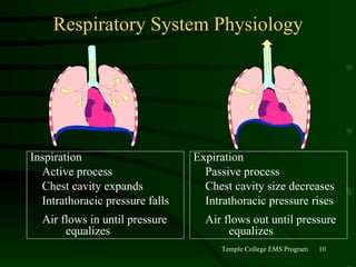Emt Respiratory System | PPT