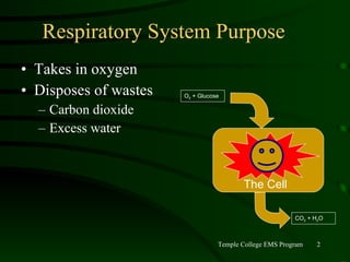 Emt Respiratory System | PPT