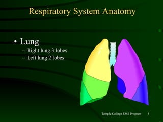 Emt Respiratory System | PPT