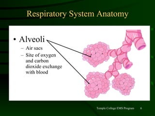 Emt Respiratory System | PPT