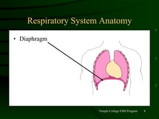 Emt Respiratory System | PPT