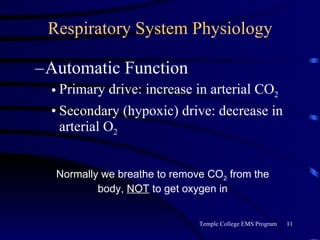 Emt the respiratory system | PPT