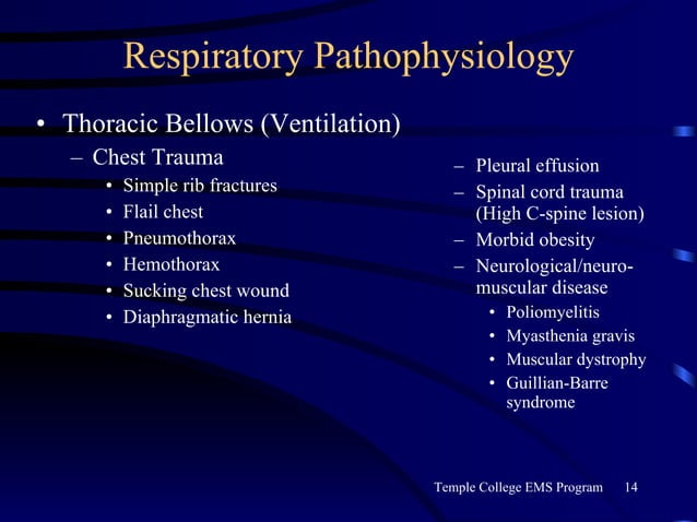 Emt the respiratory system | PPT | Lung and Respiratory Health ...