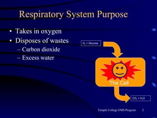 Emt the respiratory system | PPT