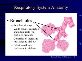Emt the respiratory system | PPT
