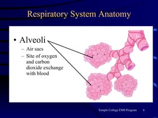 Emt the respiratory system | PPT