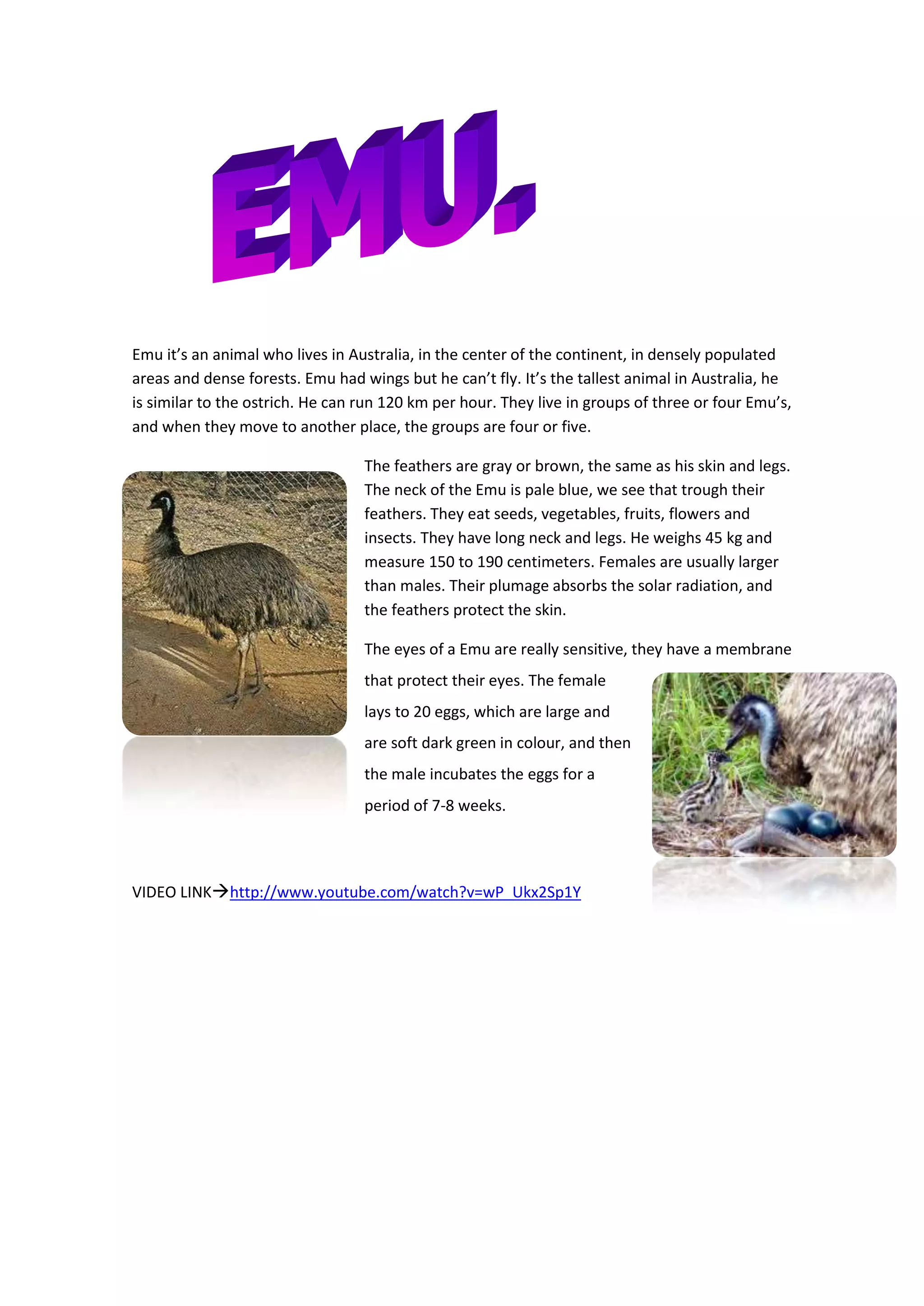 The Emu | DOCX