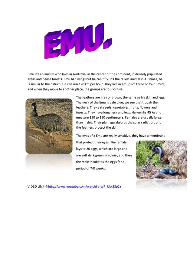 The Emu | PDF