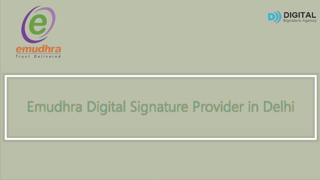 Emudhra Digital Signature Provider in Delhi.pptx