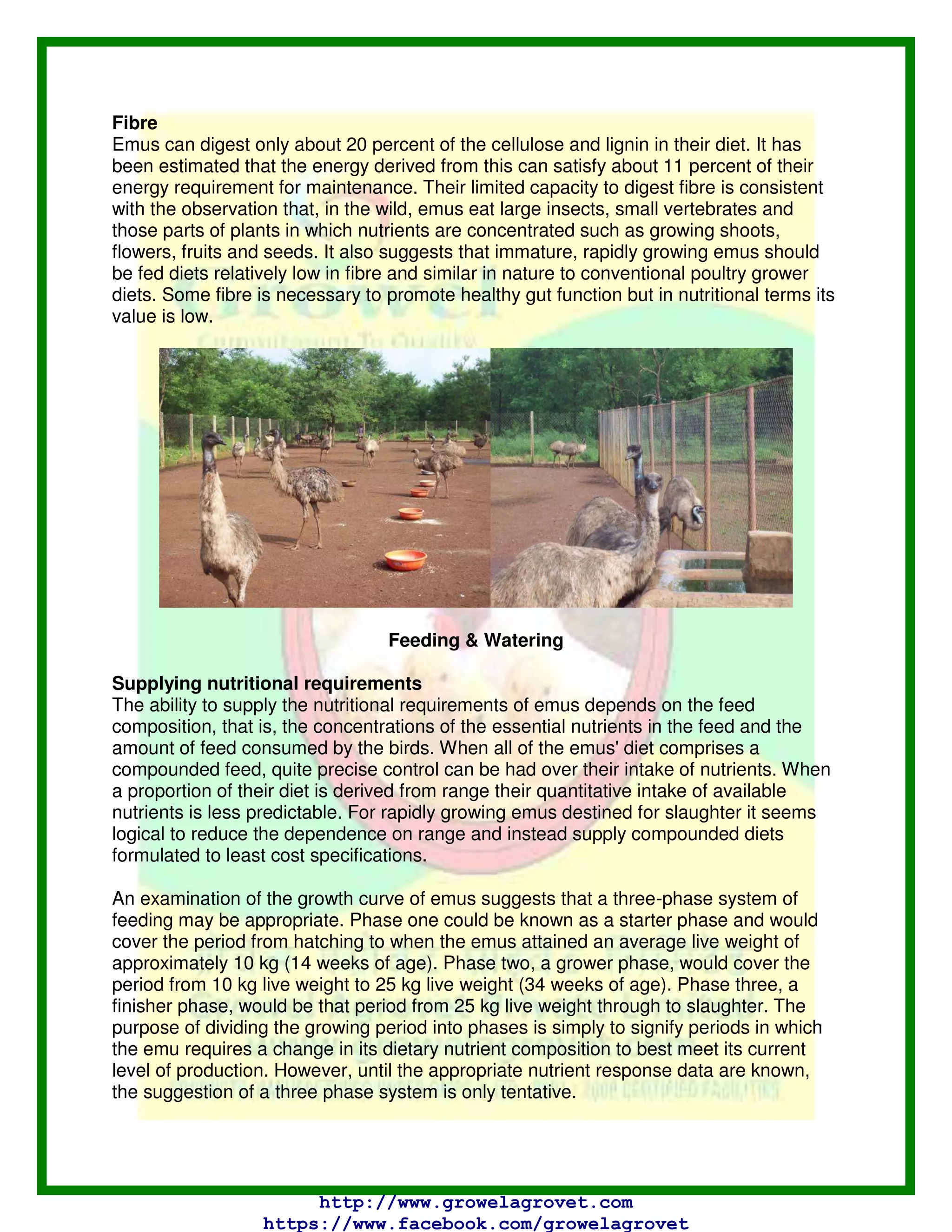 Emu feeding management. | PDF