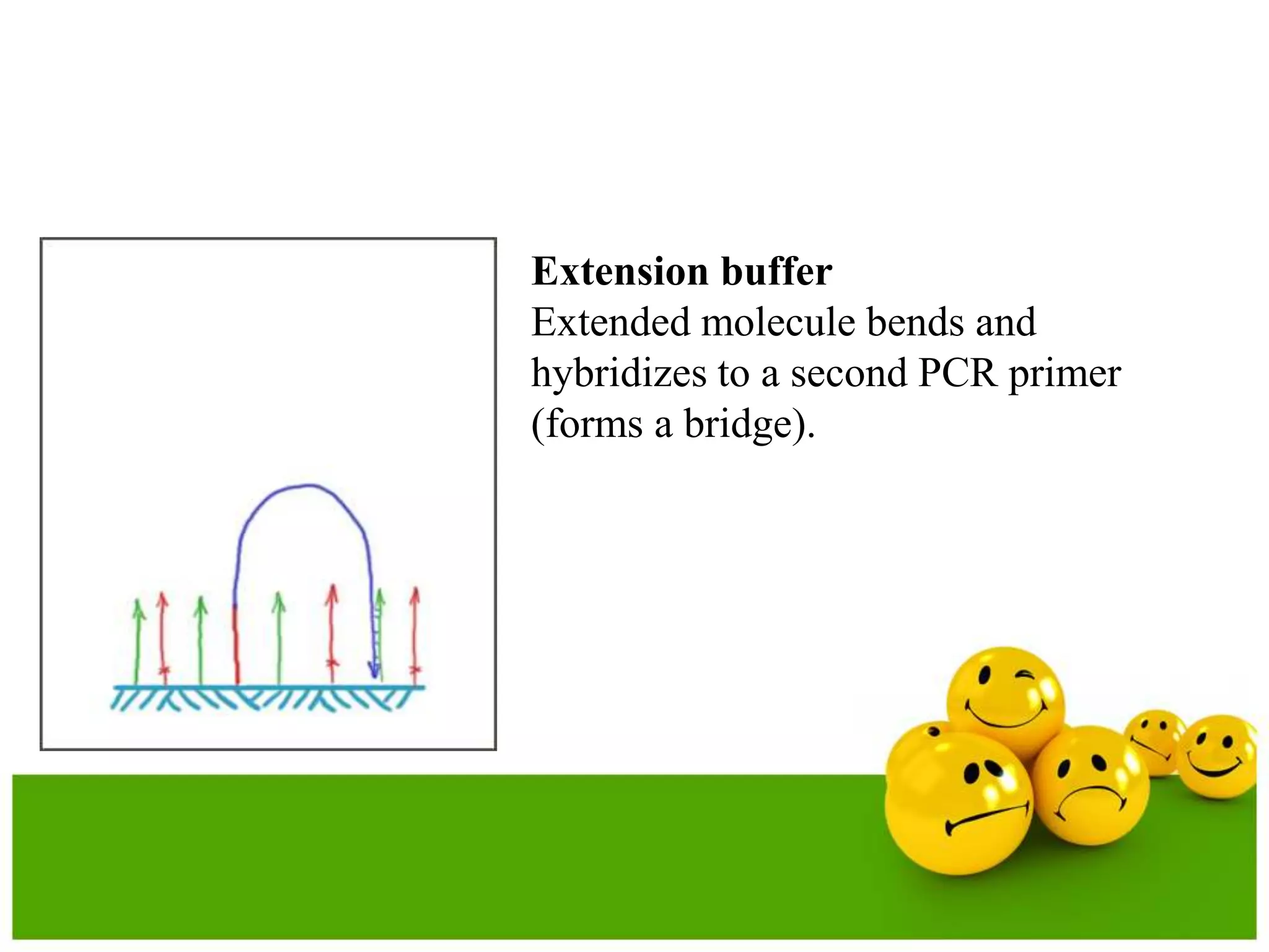 EMULSION PCR,VARIOLA PCR,BRIDGE PCR | PPTX