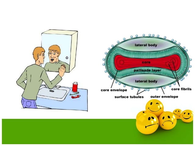 EMULSION PCR,VARIOLA PCR,BRIDGE PCR | PPTX | Biological Sciences | Science