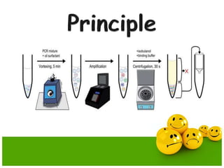 EMULSION PCR,VARIOLA PCR,BRIDGE PCR | PPTX | Biological Sciences | Science