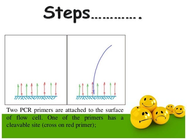 Bridge diagnostics pcr test results - Asloprecision