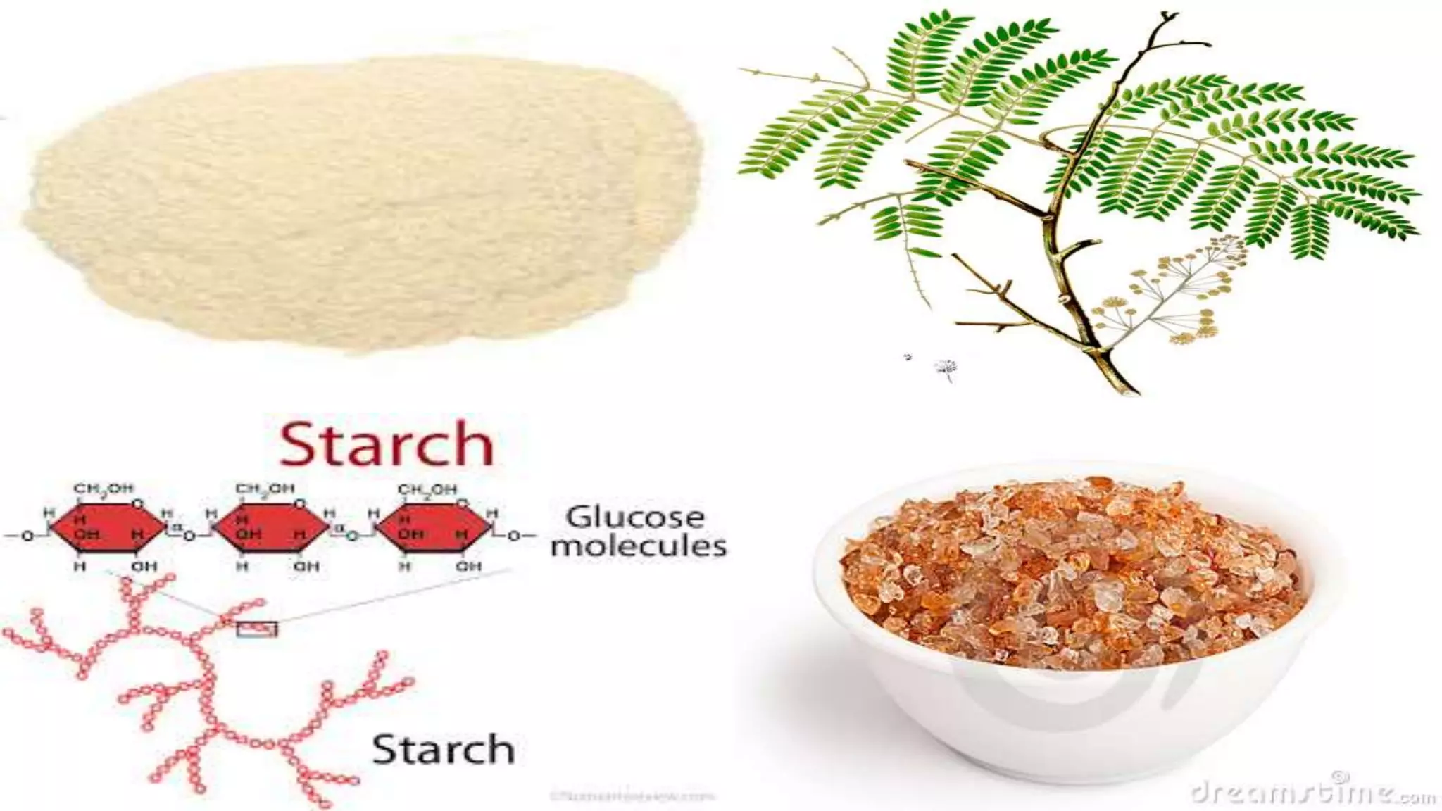 Emulsions ppt | PPTX | Pharmaceutical Drugs | Medical Health