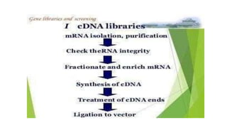 gene library | PPT | Free Download
