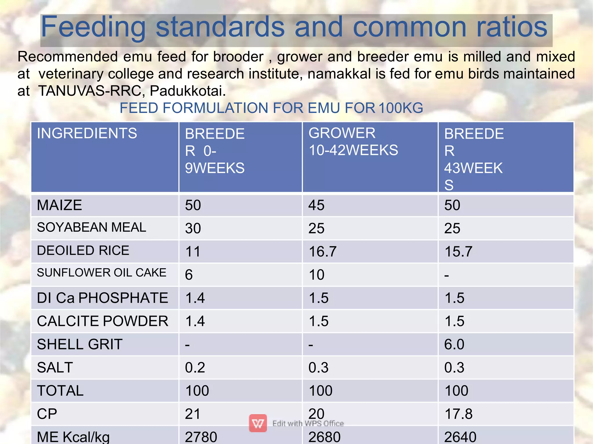 Emu Bird Production | PPTX