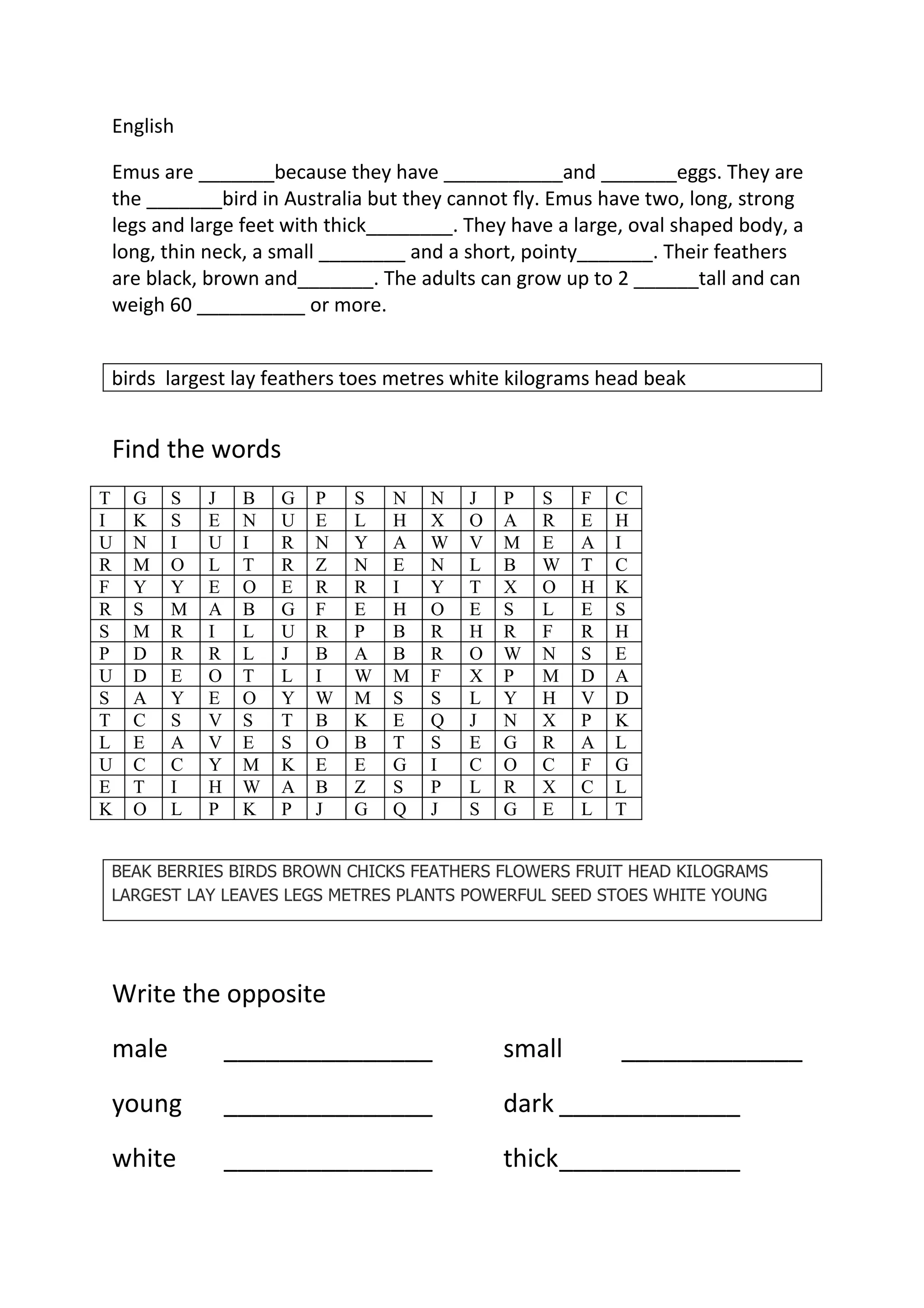 Emus Fact Sheet And Activity Worksheet | DOC