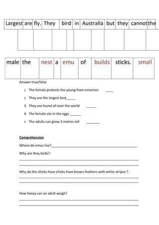Emus Fact Sheet And Activity Worksheet | DOC