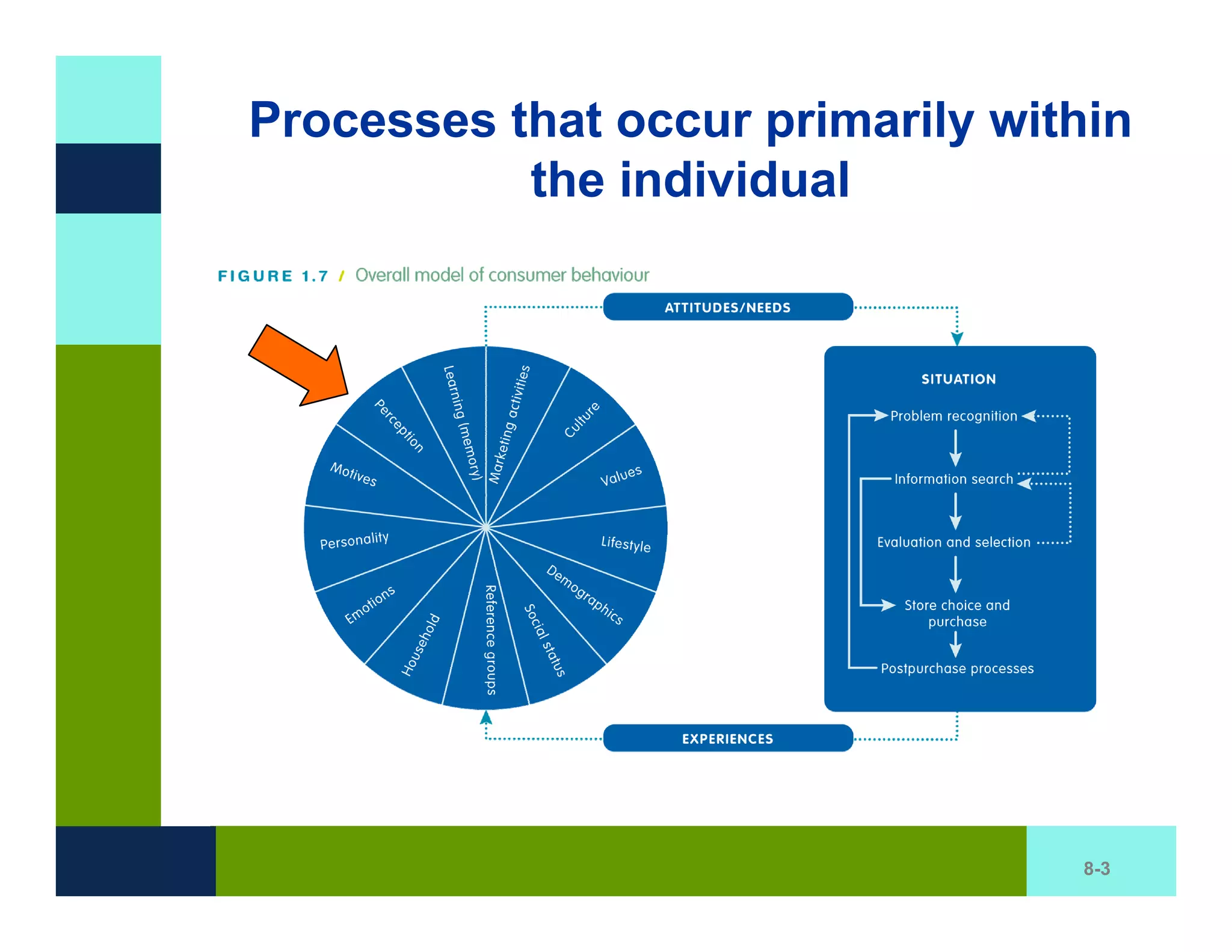 BB Chapter Eight: Perception | PDF