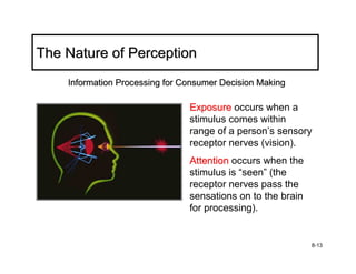 BB Chapter Eight: Perception | PDF