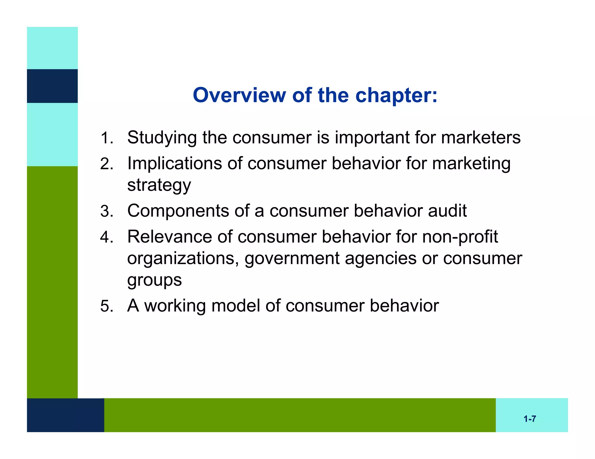 BB Chapter One: Consumer Behavior and Marketing Strategy | PDF