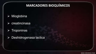 Emzimas cardiacas | PPTX