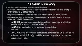 Emzimas cardiacas | PPTX