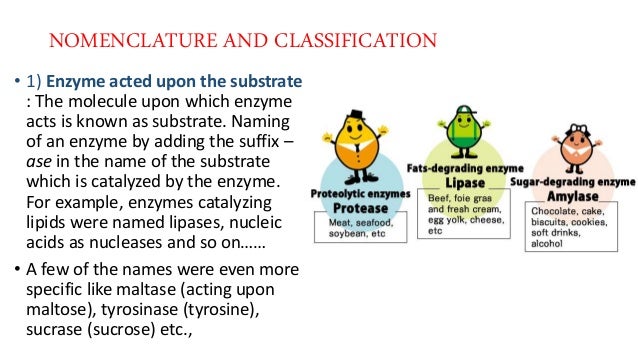 Nomenclature And Classification Of Enzymes